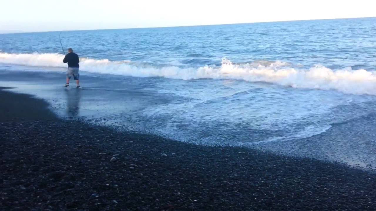 New Zealand Surfcasting | Kingfish in Napier - YouTube