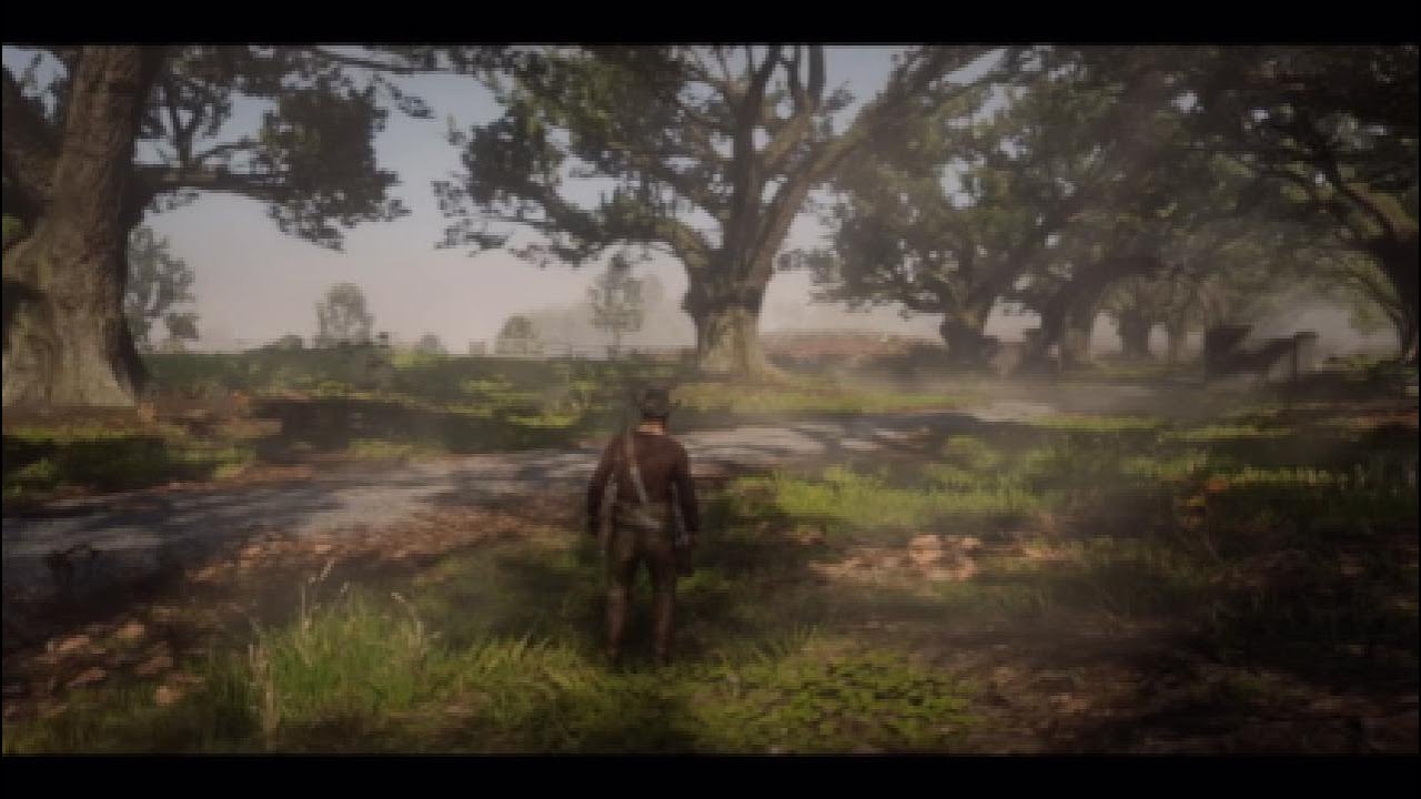 Level 10-50 (Red dead redemption 2 ) - YouTube