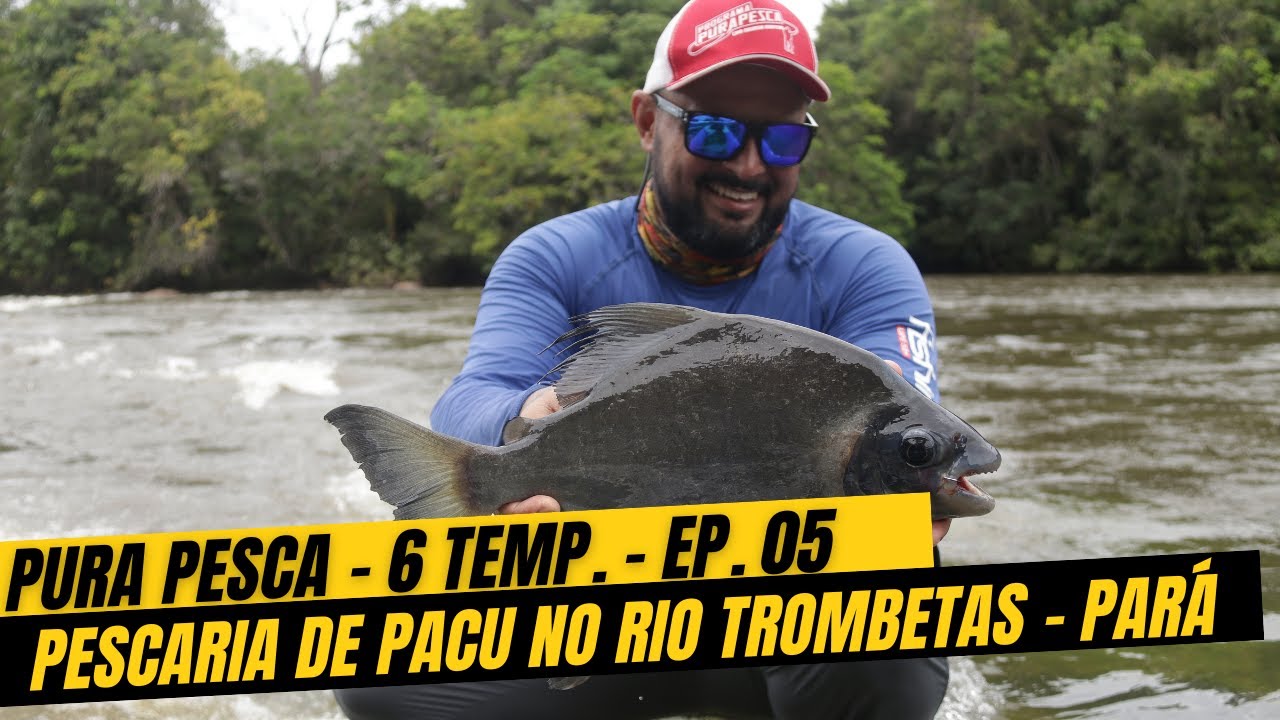 PURA PESCA - 6ª TEMP. - Ep. 05 - PESCARIA DE PACU COM ISCAS INCRÍVEIS ...