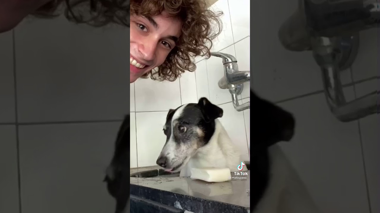 Bañando a mi perro - YouTube