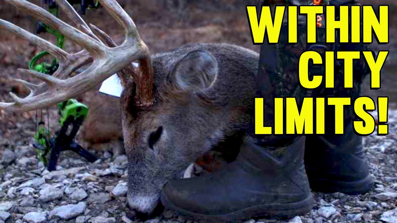 Hunting a 160" Whitetail Within Kansas City Limits! - YouTube