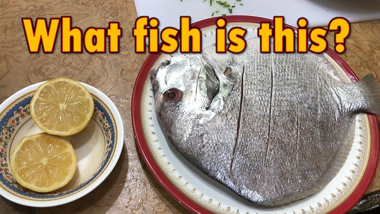 Baked Moon fish recipe with special toppings. विशेष टॉपिंग के साथ बेक्ड ...