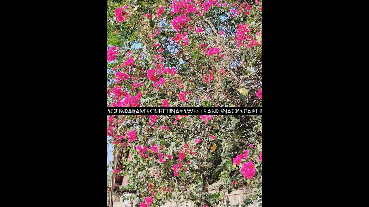 Soundaram’s Chettinad Sweets and Snacks, Karaikudi Part-1 - YouTube