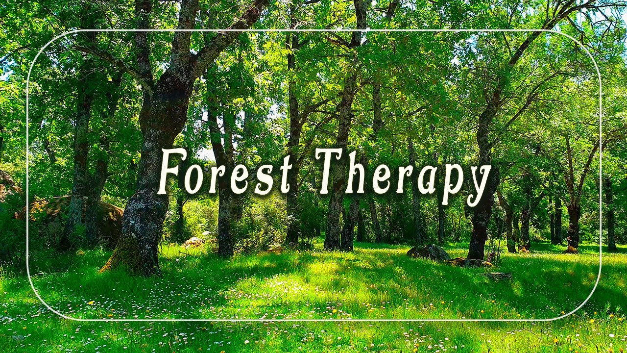 🌳🌞Begin Your Day with POSITIVE ENERGY 🌳 Healing FOREST Sounds 🌳 SPRING ...