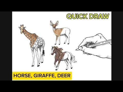 QUICK DRAW - HORSE, GIRRAFE, DEER - YouTube