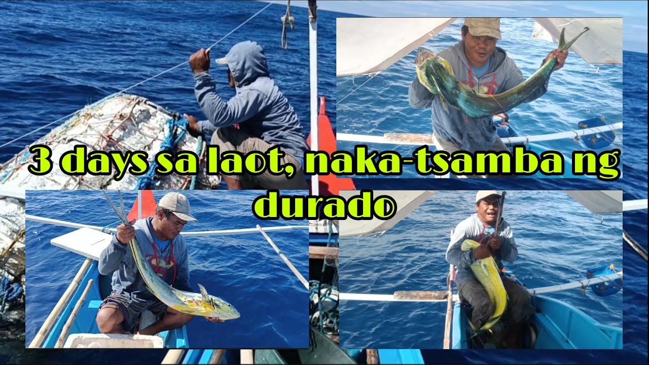 DURADO + ANG BIYAYA NG DAGAT | Squid Hunter TV - YouTube