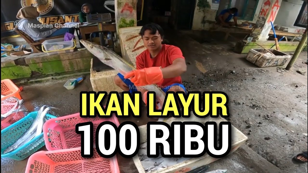 hari-ini-ikan-layur-dihargai-100-ribu-kg-youtube