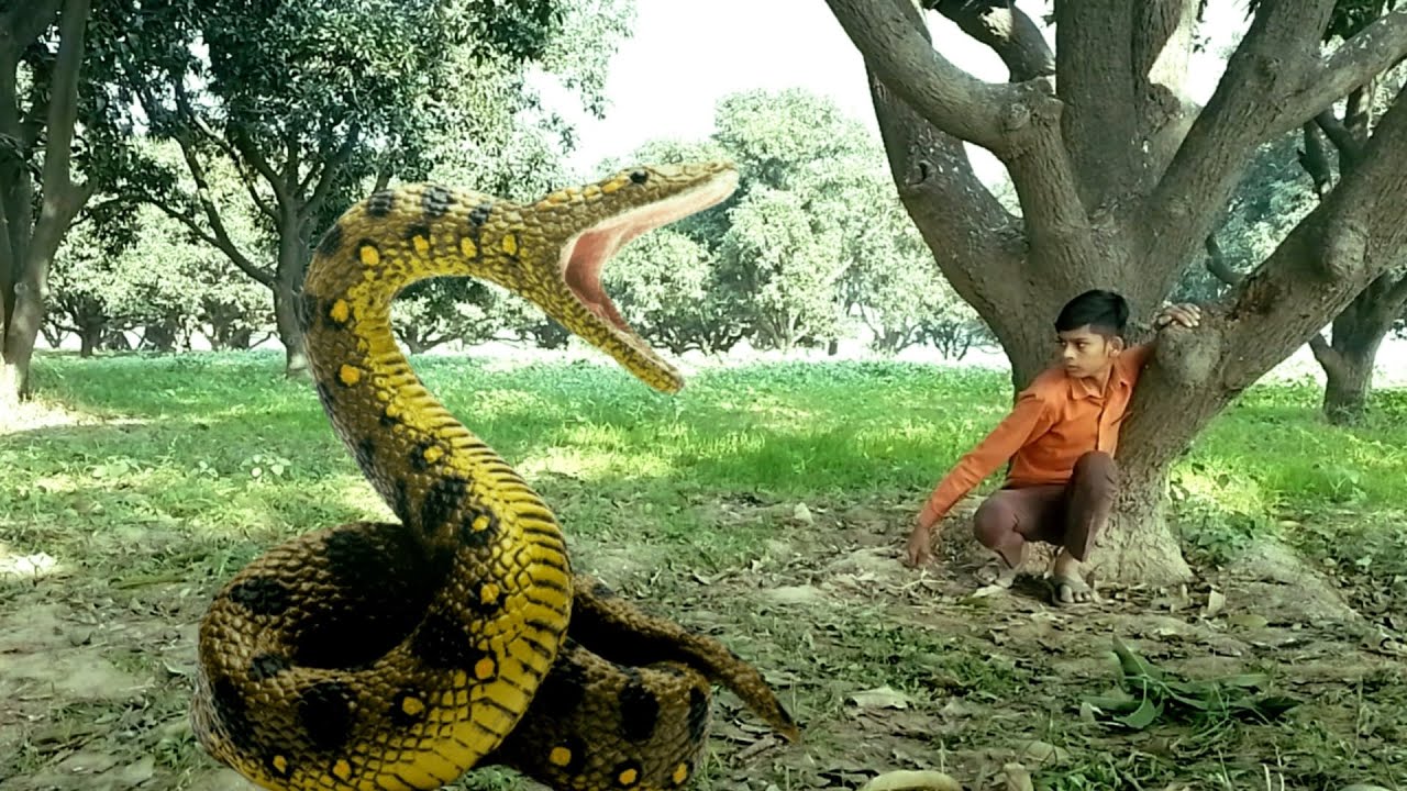 Anaconda Snake Attack The Boy In Real Life. - YouTube