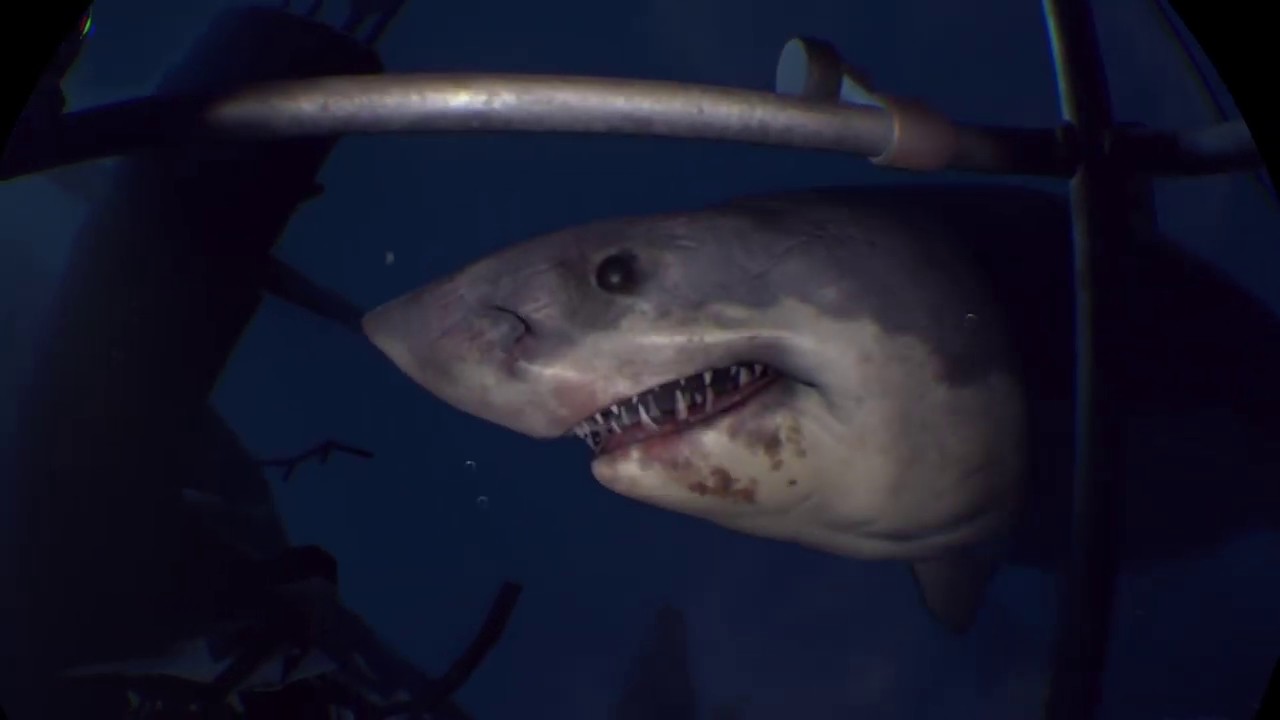 Shark attack VR (VR WOLDS) - YouTube