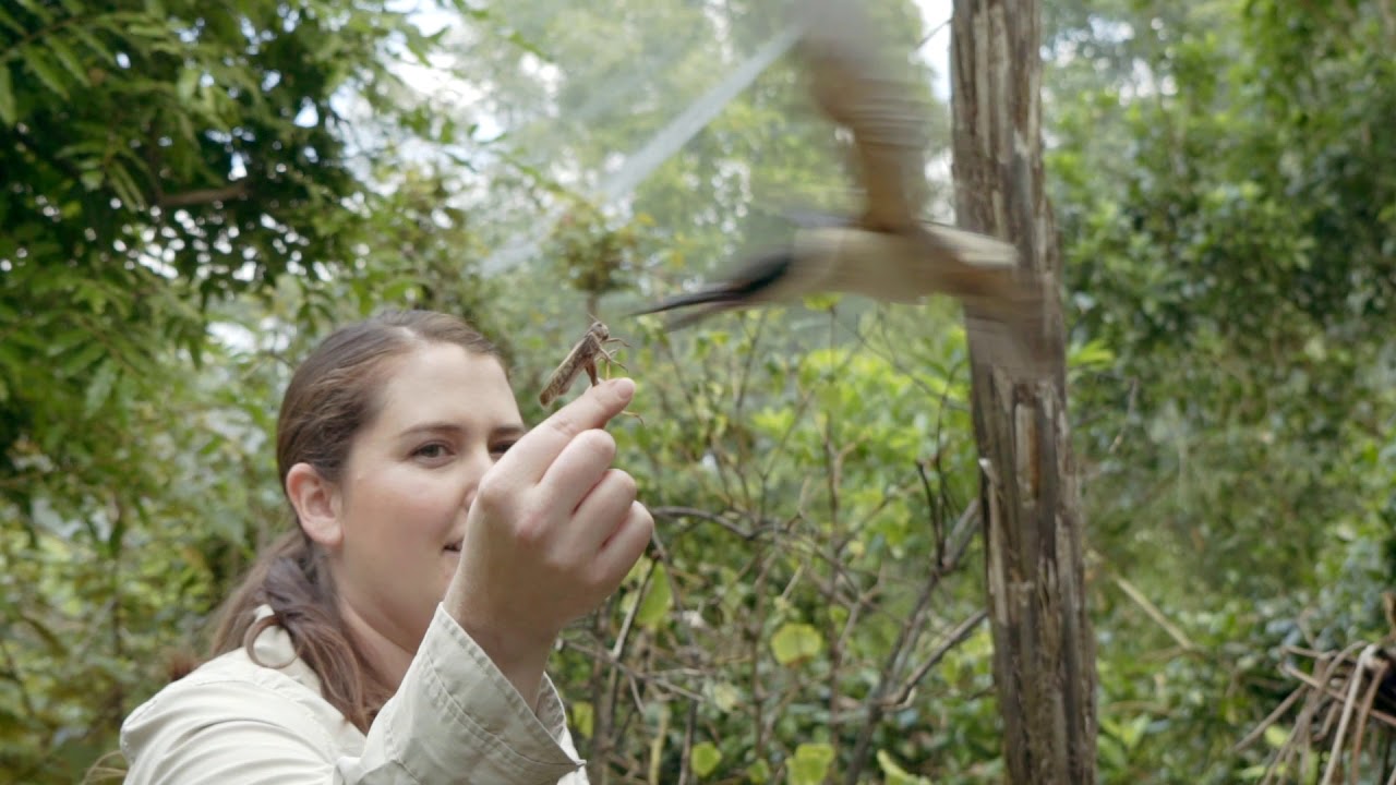 Are you our next Zoo Director? - YouTube