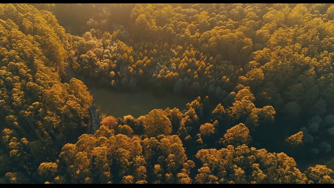 Bandari Beautiful Music by Soothing Relaxation - YouTube