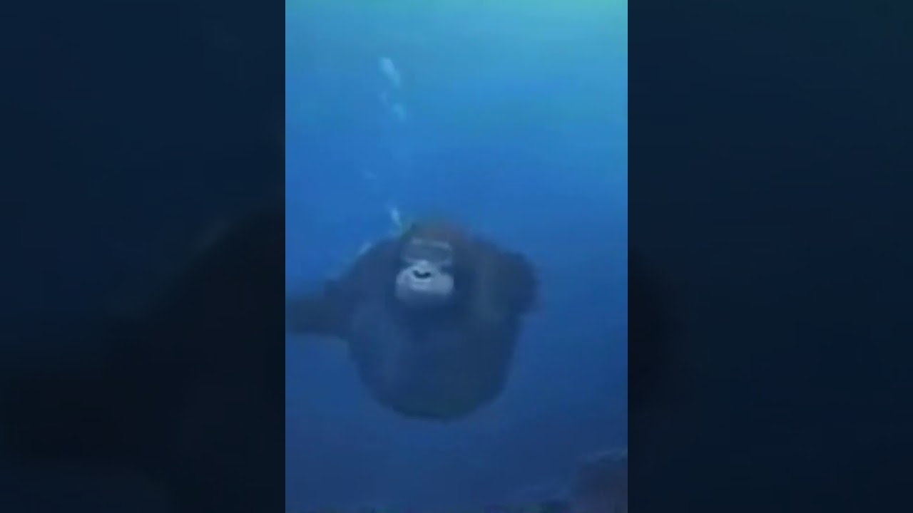 Swimming Monke - YouTube