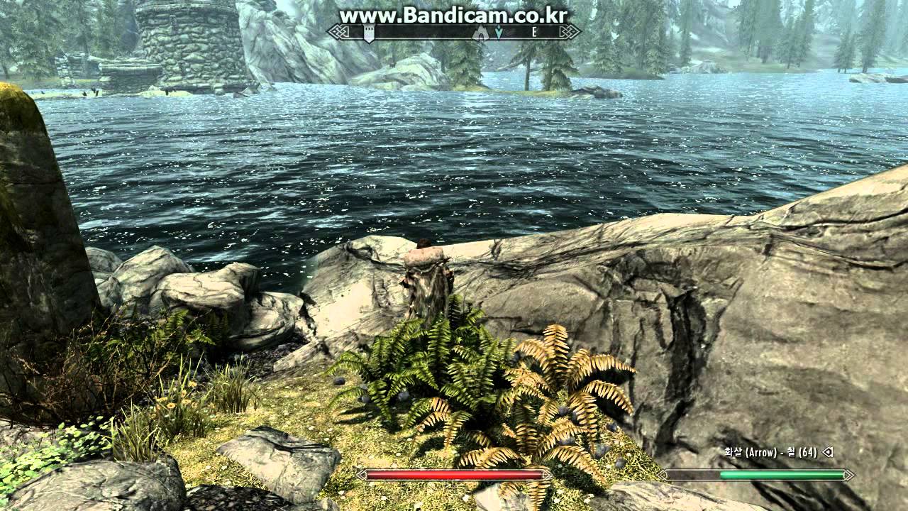 Skyrim Requiem big fish - YouTube