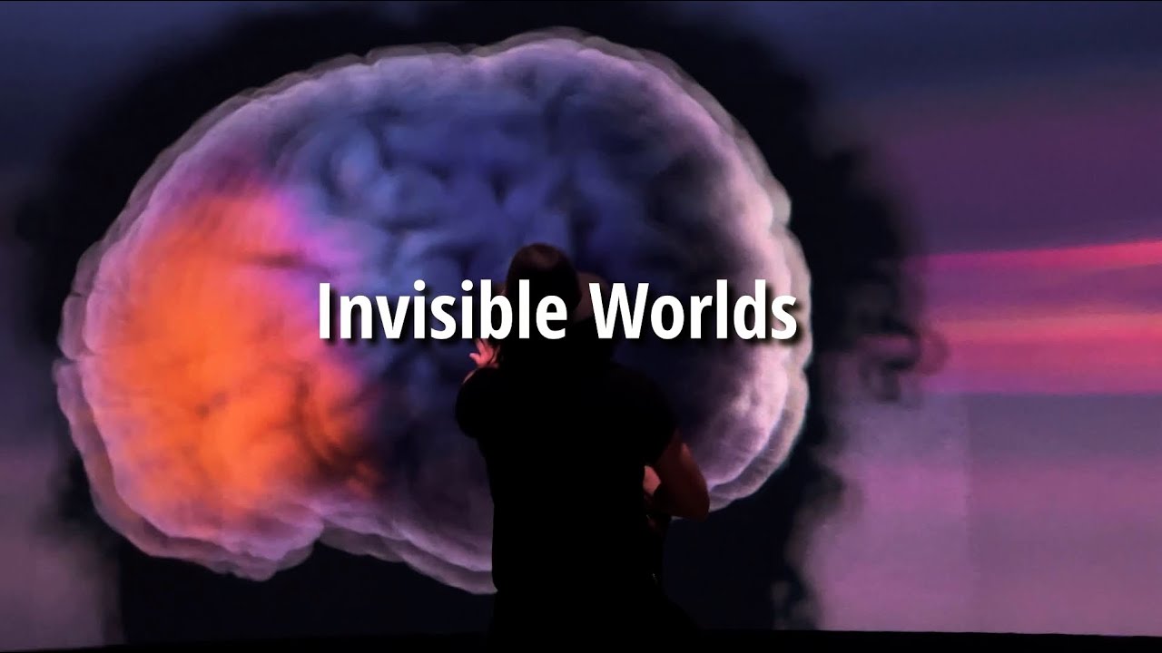 Invisible Worlds : A Visit and Review of the American Museum of Natural ...