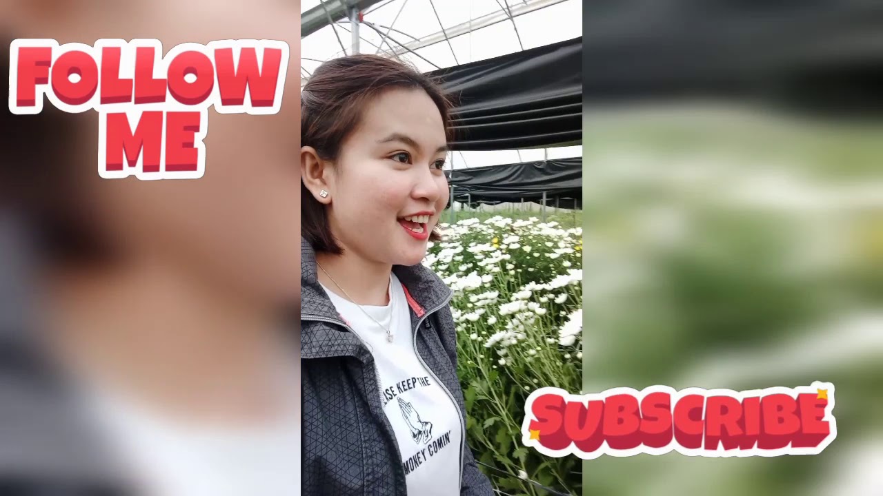EMV flower farm - YouTube