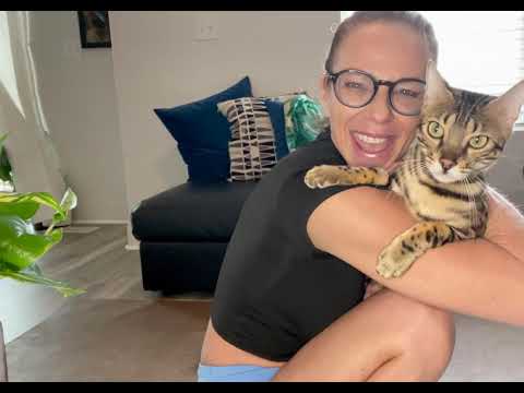 Yoga and kitties with Ekapadasirsasana and toe touching nose