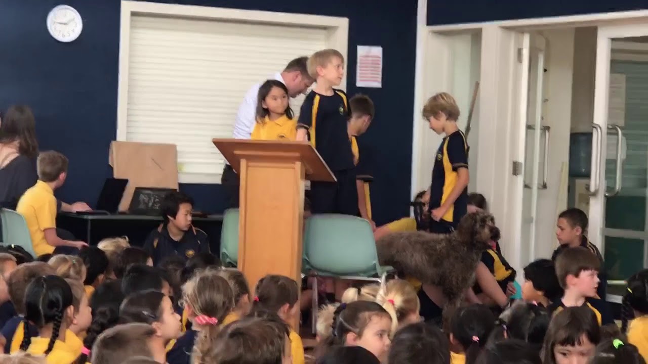 Parnell primary school assembly singing new Zealand anthem 2017 - YouTube