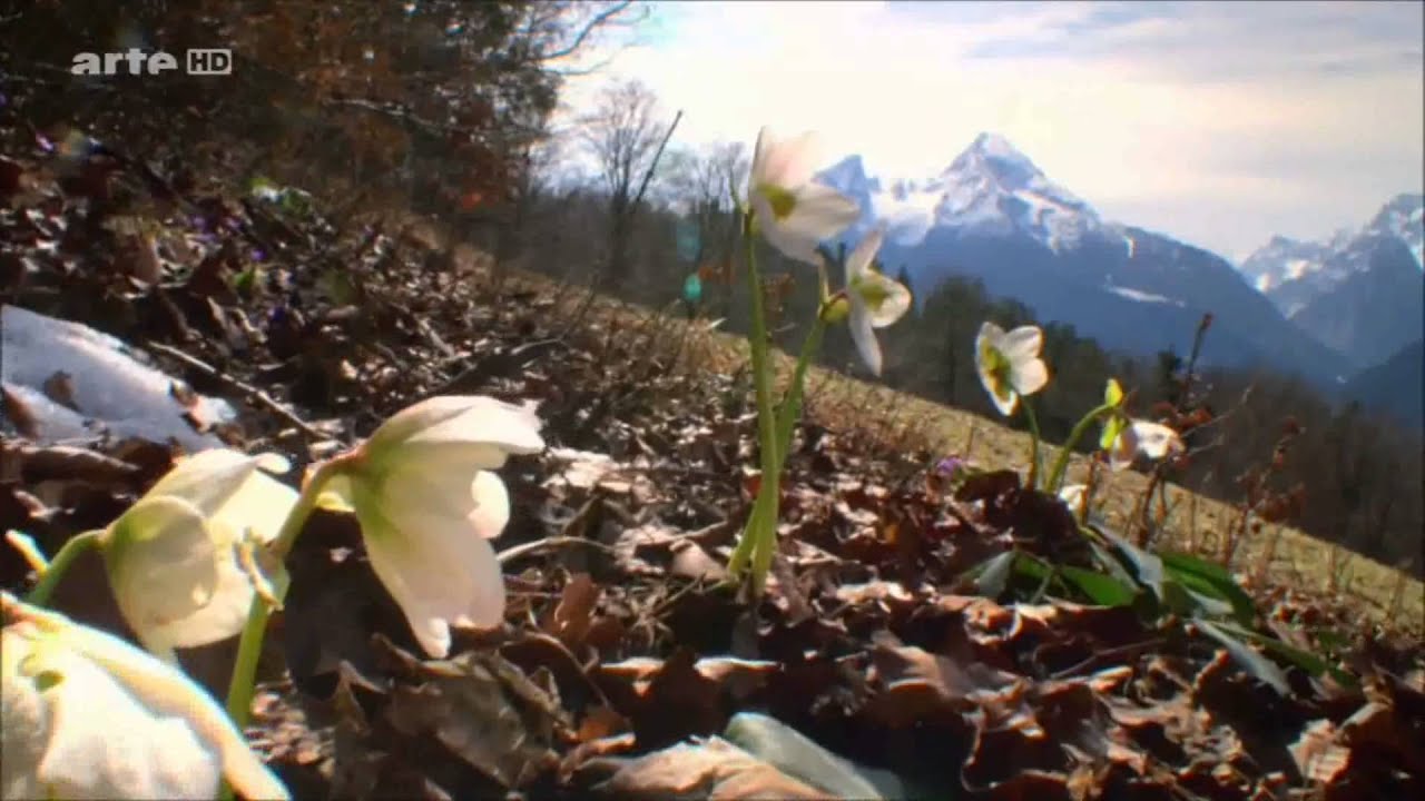 Messiah Project - What is Pride (Video HD) - YouTube