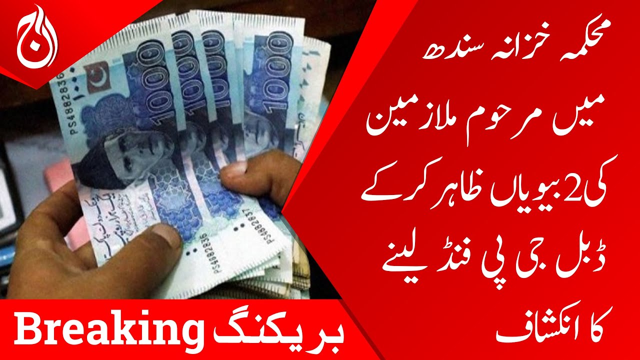 Auditor General's report revealed large-scale irregularities in the ...