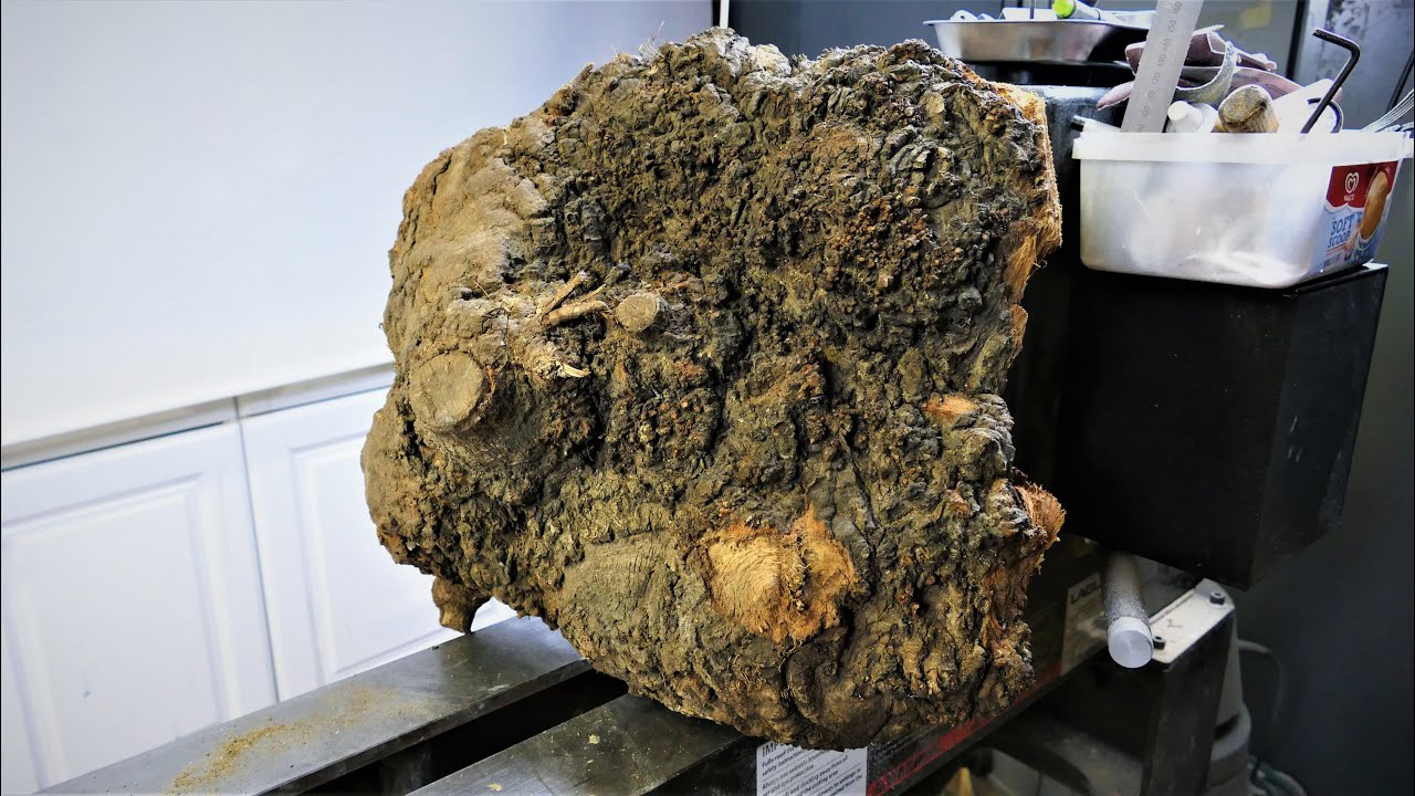 Woodturning - Conquering the Massive Oak Burl! - YouTube
