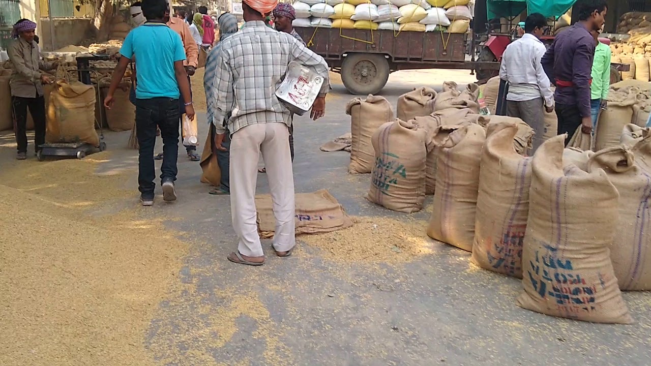 Najafgarh New Anaj Mandi - YouTube