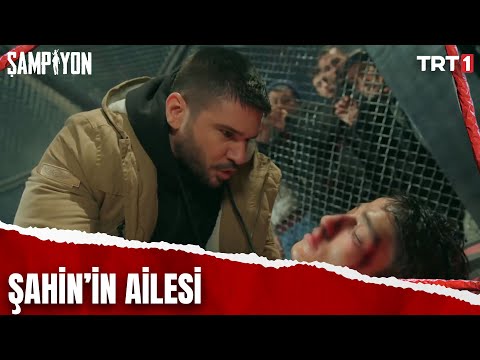 Şahin için tek yumruk! - Şampiyon 16. Bölüm