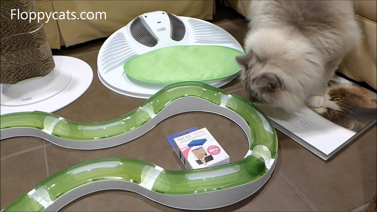 Hagen Catit Oasis Product Review Unboxing Arrival Video - ねこ - ラグドール ...
