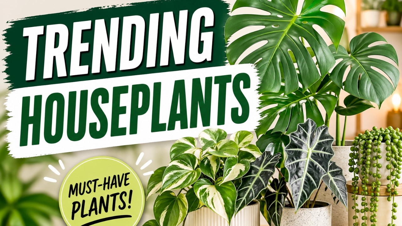 Top 10 Trending Houseplants in 2025 - YouTube