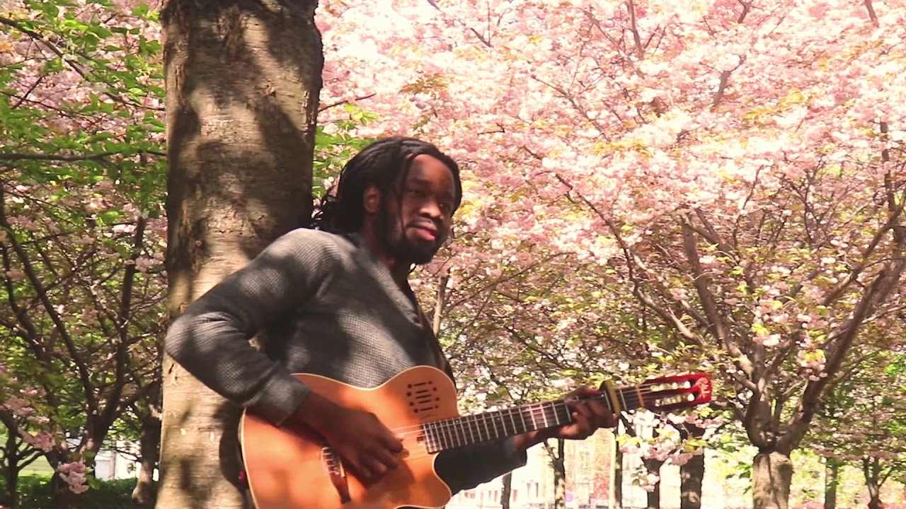 Duane Forrest | Cherry Blossoms | official video - YouTube