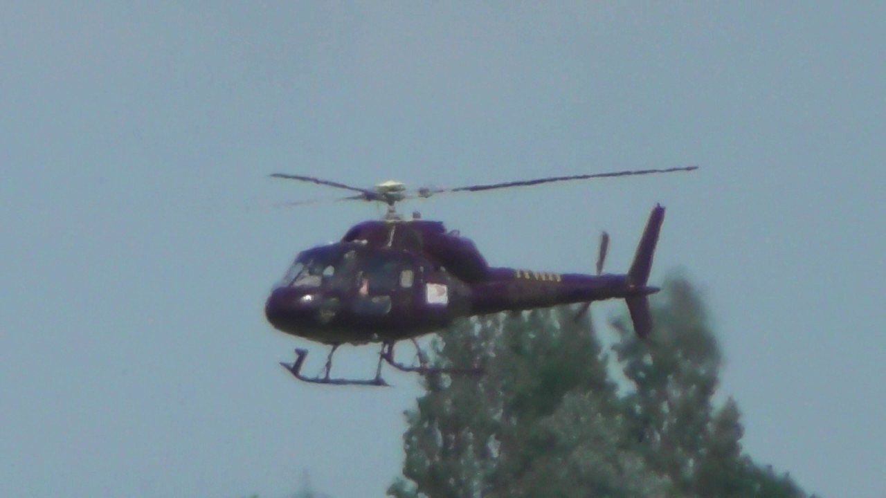 Purple Helicopters
