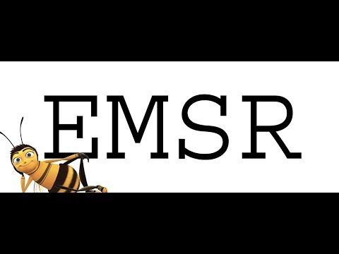 Reading the Whole Bee Movie Script
