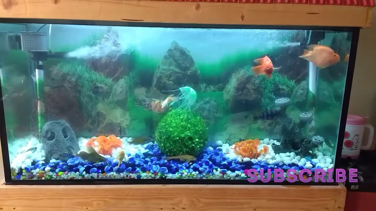 4Feet length 2feet hight local fish tank OMR CLASSIC PET SHOP AND ...