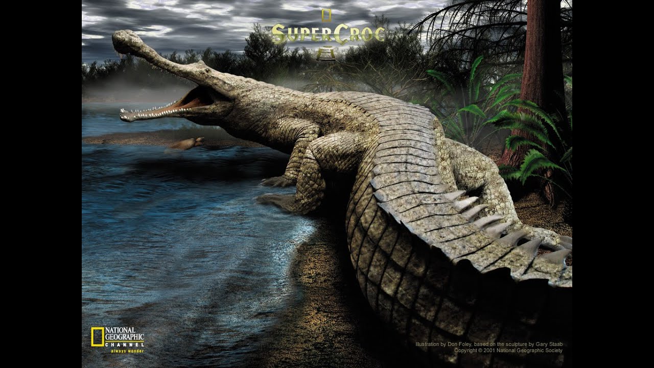 O SUPERCROC - YouTube