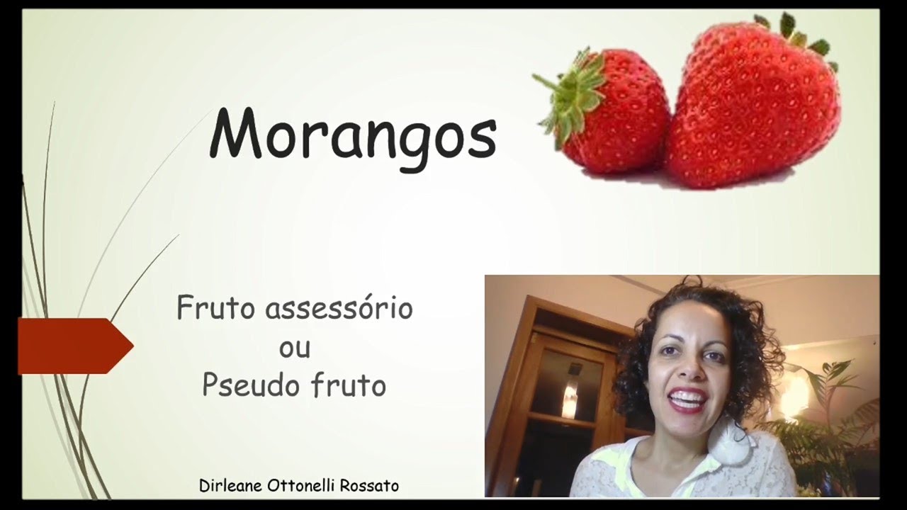 Morangos - Aspectos biológicos desse fruto agregado - YouTube