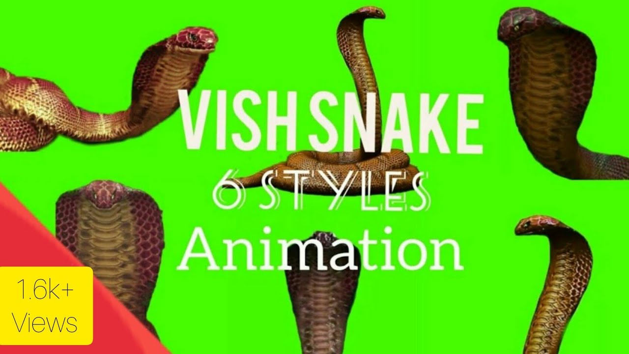 Naagin 3 | Vish Snake Animation 6 Styles | Vishakha Snake on Green ...