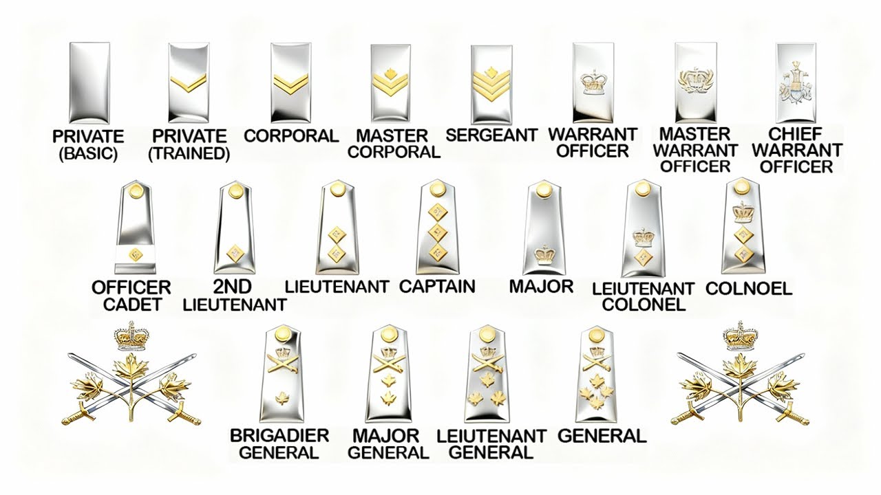 Every Rank In The Canadian Army EXPLAINED In 9 Minutes - YouTube