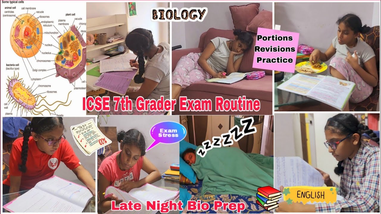 Star Exam Study Routine📖 ️*ICSE 7th Grader* BIOLOGY/ENGLISH Exam Prep📚 ...
