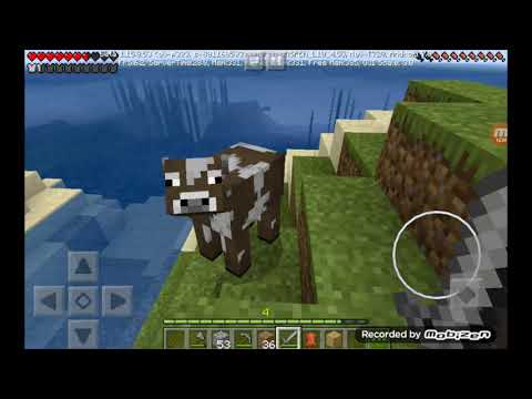 Çılgın Rex Minecrafta başlıyor.