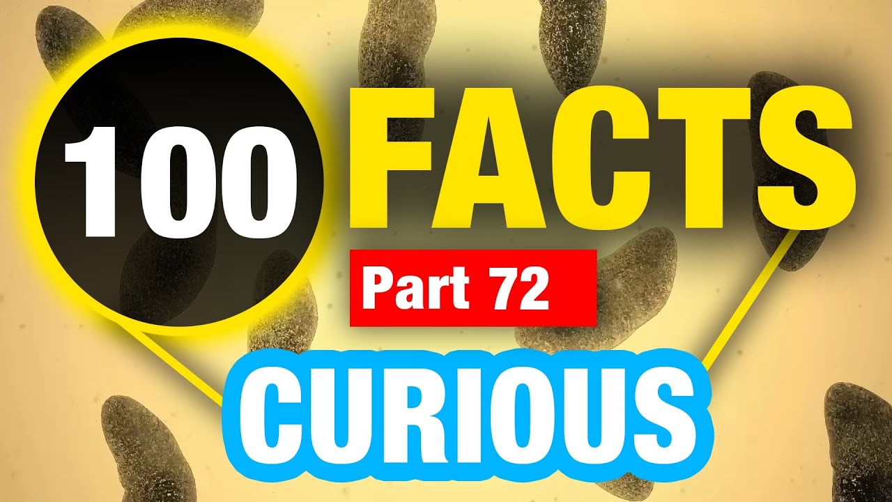 100 Weird Fun Facts | World Facts - YouTube