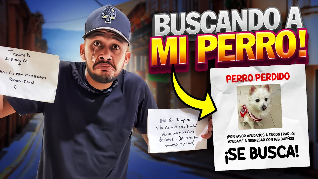ASI FUE como RECUPERE a mi PERRO PERDIDO el NIÑO🐶 - YouTube