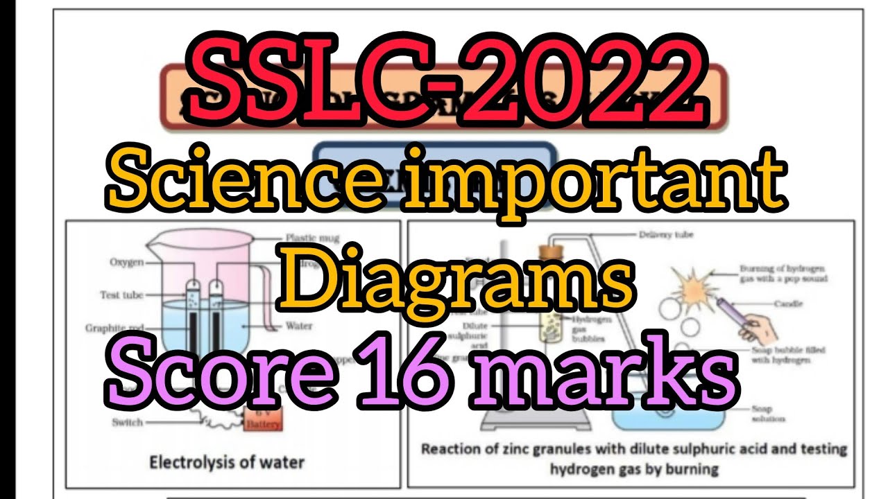SSLC-2022 Science most important Diagrams | 16 marks Diagrams | @smt ...