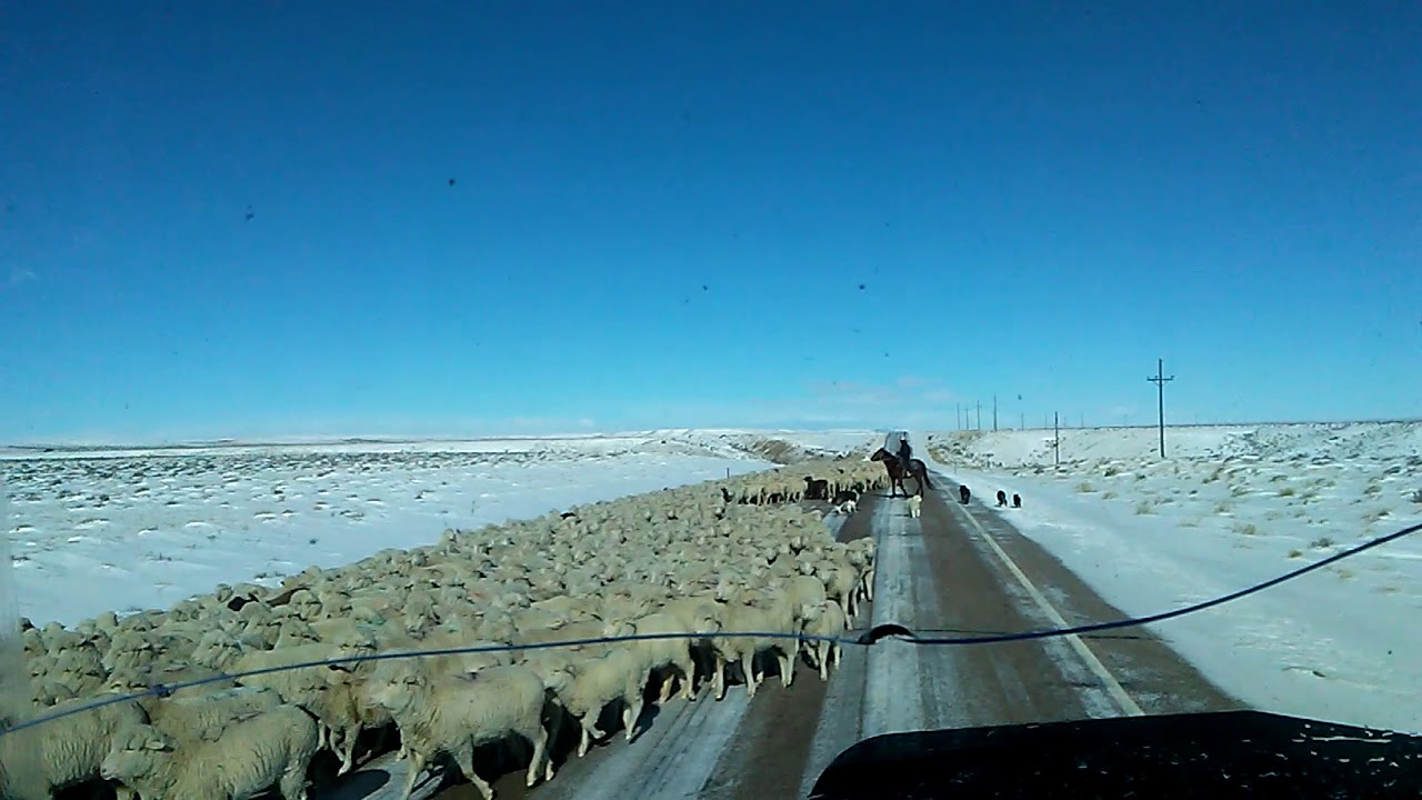 Open Range HYW Wyoming - YouTube