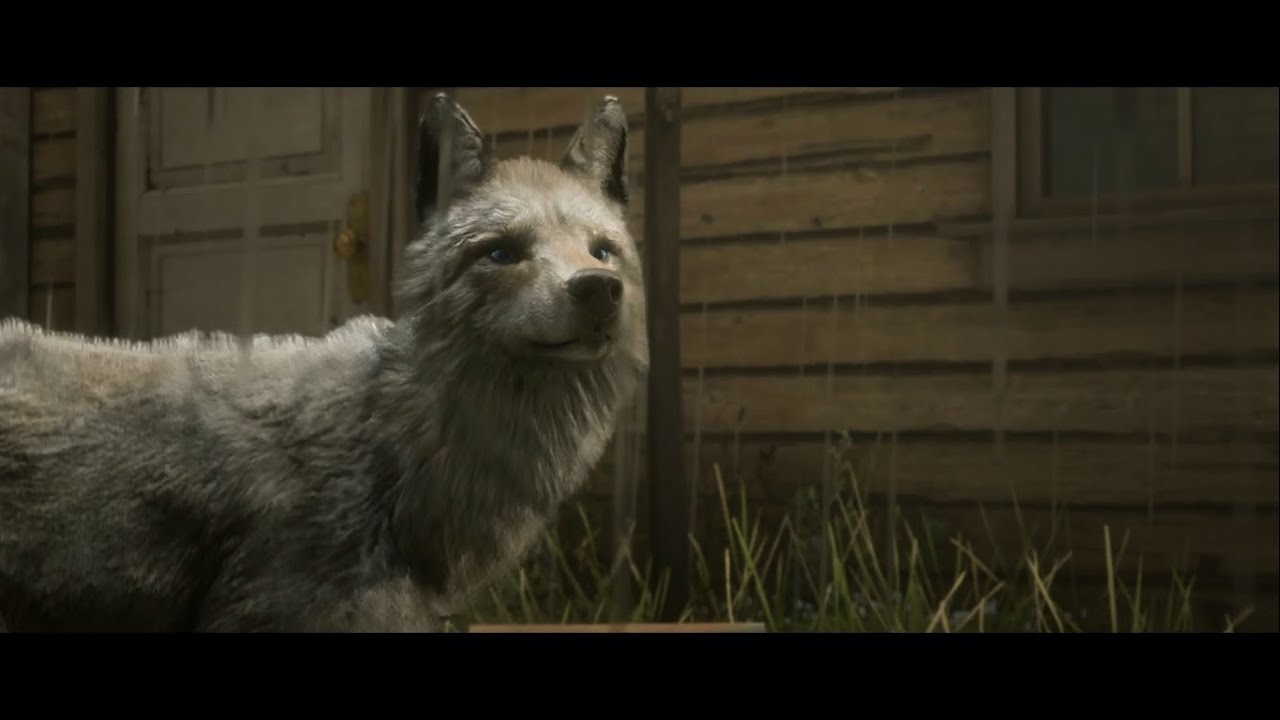 Red Dead Online The Naturalist : Legendary Milk Coyote - YouTube