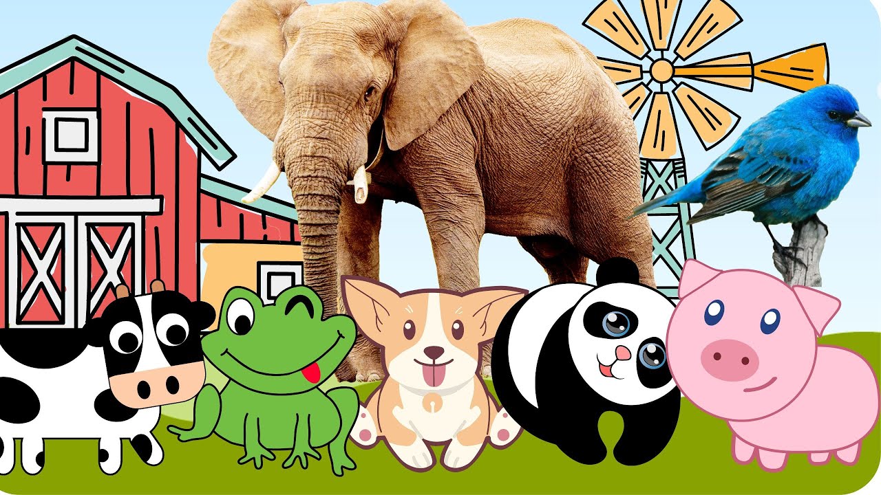 Learn animal sounds of cows, lions, pigs, camels - The life of Animals ...