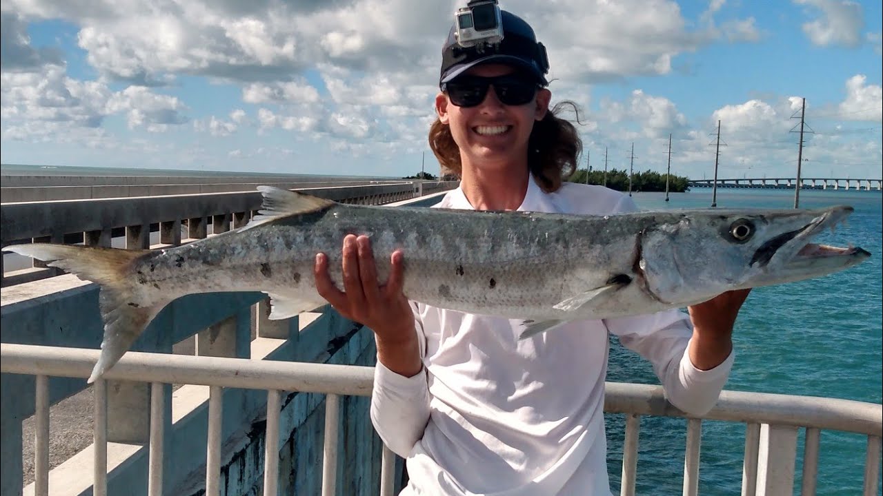 Florida Keys Bridge Fishing | Barracuda, Hogfish & More! - YouTube
