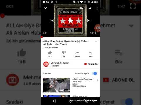 Allah diyen hayvan lar