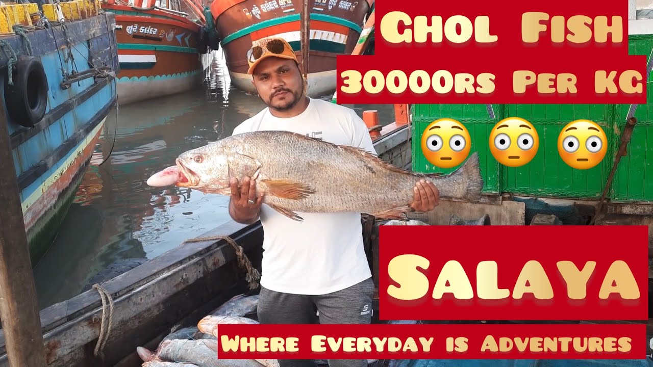 Salaya Ki Samudri Yatra | Paplet or Ghol Fish Ki Dhoom | Salaya ...