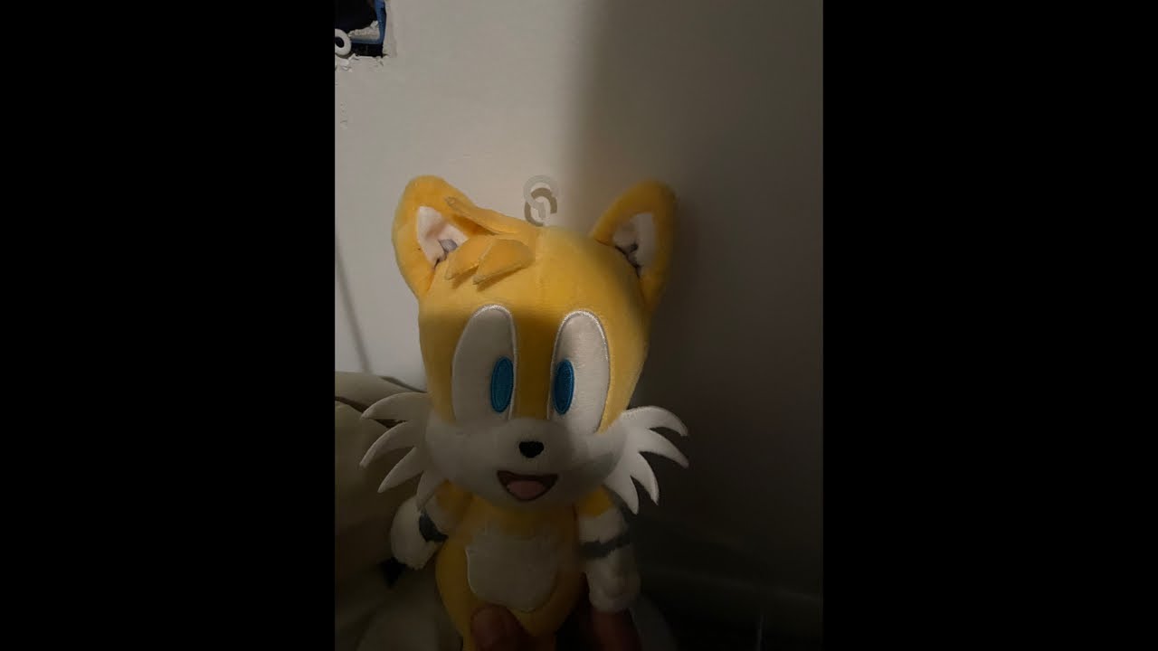 Tails gets kidnapped - YouTube