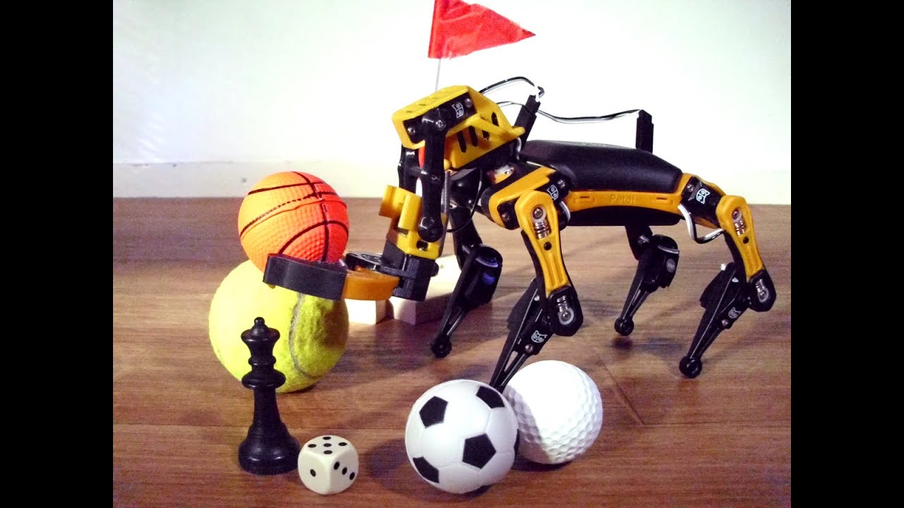 Robot Dog tries Sports & Games - YouTube