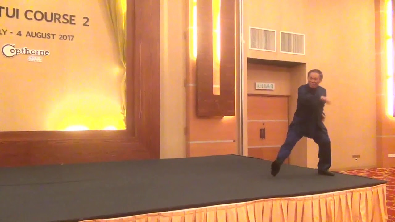 Shaolin Tantui Sequence 4 -- Leopard Punch - YouTube
